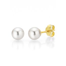 Firetti Damen Paar Ohrstecker &raquo;Schmuck Geschenk Gold 375 Ohrschmuck Perle verschiedene Gr&ouml;&szlig;en&laquo; Made in Germany - mit S&uuml;&szlig;wasserzuchtperle gold 6, 