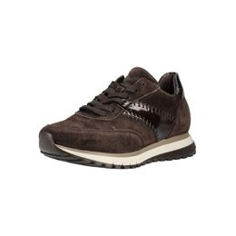 Gabor Sneaker in Mocca | Gr.: 38,5