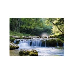 WALLARENA Fototapete Wald in Gr&uuml;n | Gr.: 150 x 105 cm