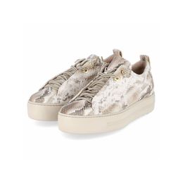 Paul Green Schn&uuml;rhalbschuh in beige | Gr.: 40