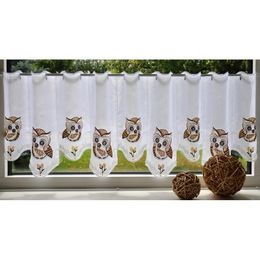 Stickereien Plauen Scheibengardine &raquo;Eulen&laquo; Stangendurchzug 1 Stk. tlg. beige Voile, Polyester 40cm, Stangendurchzug, 80cm