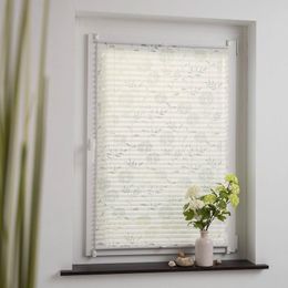 Liedeco Plissee &raquo;Ausbrenner&laquo; Lichtschutz ohne Bohren verspannt Klemmfix-Plissee Ausbrenner Dekor Floral wei&szlig; Obermaterial: 100% Polyester 130cm, zweiseitig 