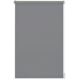 Gardinia Seitenzugrollo &raquo;EASYFIX Rollo Uni&laquo; Lichtschutz Sichtschutz mit Bohren/ohne Bohren freih&auml;ngend in sanften Pastellt&ouml;nen grau Polyester 150cm, 