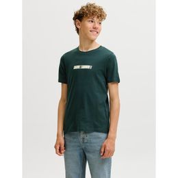 Jack & Jones Jack & Jones Junior Kinder T-Shirt &raquo;JJMUNK TEE SS CREW NECK SN JNR&laquo; Baumwolle, regular fit gr&uuml;n 176
