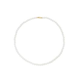 Firetti Damen Perlenkette &raquo;Schmuck Geschenk Gold 375 Halsschmuck Halskette Perle&laquo; Made in Germany - mit S&uuml;&szlig;wasserzuchtperle gold 5, Gelbgold 375 