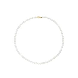 Firetti Damen Perlenkette &raquo;Schmuck Geschenk Gold 375 Halsschmuck Halskette Perle&laquo; Made in Germany - mit S&uuml;&szlig;wasserzuchtperle gold 4, Gelbgold 375 