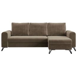 M&ouml;bel Kraft Ecksofa mit Schlaffunktion Axel braun Ma&szlig;e (cm): B: 242 H: 90 &raquo; M&ouml;bel Kraft