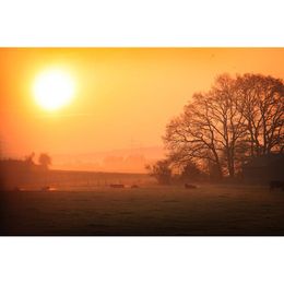 papermoon Fototapete &raquo;Sonniger nebliger Sonnenaufgang&laquo; bunt Vlies B/L: 3m x 2,2m, Rollen: 1
