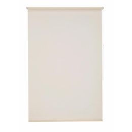 OTTO home Rollo &raquo;Themse-Uni&laquo; Lichtschutz Sichtschutz ohne Bohren freih&auml;ngend Bestseller, Rollo Fenster, Seitenzugrollo, Sonnenschutz beige Polyester 