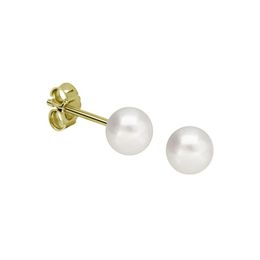 Firetti Damen Perlenohrringe &raquo;Schmuck Geschenk Gold 333 Ohrschmuck Perle versch. Gr&ouml;&szlig;en&laquo; Made in Germany - mit S&uuml;&szlig;wasserzuchtperle gold 7, Gelbgold 