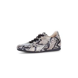 Gabor Sneaker low in multicolour | Gr.: 40,5