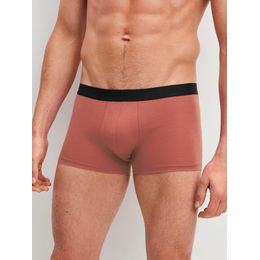 Calida New Boxer, 3er-Pack in marsala | Gr.: M