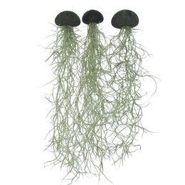 MeinVIPShop 3er Set Seeigelgeh&auml;use schwarz mit Tillandsia spanischem Moos | Gr.: onesize