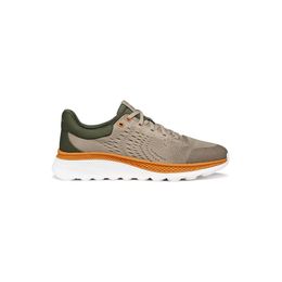 Geox Sportliche Schn&uuml;rschuhe in Beige | Gr.: 40