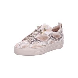 Paul Green Lowtop-Sneaker in Snake beige | Gr.: 4