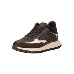 Lloyd Sneaker in Moro | Gr.: 38
