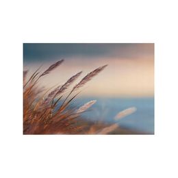 WALLARENA Fototapete Gras in Beige | Gr.: 150 x 105 cm
