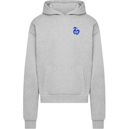 Mister Tee Sweat & Fleece - Hoody in grey | Gr.: L