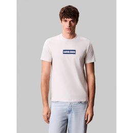 Calvin Klein Jeans Herren T-Shirt &raquo;SS 30s E CLVN LN BG&laquo; mit Logo-Schriftzug XXL
