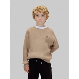 Calvin Klein Jeans Herren Strickpullover Raglan&auml;rmel, Regular Fit, reine Baumwolle beige 4 (104)