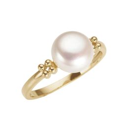Firetti Damen Perlenring &raquo;Schmuck Geschenk Gold 333 Fingerring Damenring Perle&laquo; mit S&uuml;&szlig;wasserzuchtperle gold 17, Gelbgold 333 Perlen, 2mm