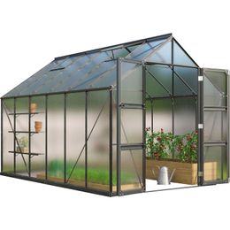 Vitavia Gew&auml;chshaus &raquo;Domus 9900&laquo; mit Doppelschwingt&uuml;ren und bodentiefer T&uuml;rschwelle, 6 mm Hohlkammer schwarz B/H/T: 257cm x 253,9cm x 387cm