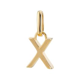 Firetti Damen Kettenanh&auml;nger &raquo;Schmuck Geschenk Gold 333 Halsschmuck Anh&auml;nger Buchstabe Alphabet&laquo; gold X, Gelbgold 333, 0,83 g