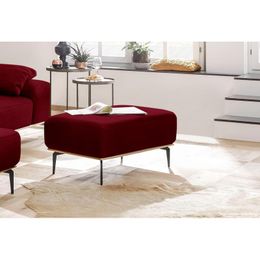 W.Schillig Polsterhocker &raquo;run&laquo; mit Holzsockel, F&uuml;&szlig;e in Schwarz pulverbeschichtet, Breite 75 cm rot Flachgewebe W82 Q2 (74% Polyacryl, 26% Polyester) B