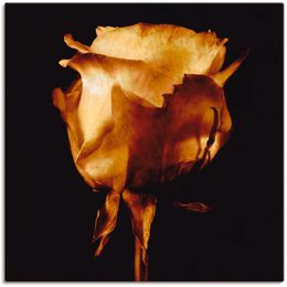 Artland Leinwandbild &raquo;Vergoldete Rose&laquo; Blumen 1 Stk. tlg. auf Holzrahmen gespannt gold Leinwand B/H/T: 30cm x 30cm, Leinwandbild Blumen quadratisch, 1 Stk.