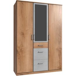 wimex Kleiderschrank &raquo;Click&laquo; mit Spiegel grau B/H/T: 135cm x 199cm x 58cm, T&uuml;ren: 3 Stk.