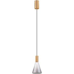 NOVA LUCE Pendelleuchte &raquo;VOI&laquo; LED-Modul 1 Stk. Warmwei&szlig; 1, &Oslash; 16cm H: 150cm, 1 Stk.