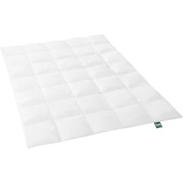 fan G&auml;nsedaunenbettdecke &raquo;f.a.n. Alaska&laquo; normal 1 Stk. tlg. wei&szlig; Bezug: 100% Baumwolle. F&uuml;llung: 90% G&auml;nsedaunen, 10% G&auml;nsefeder B/L: 155cm x 220cm, 
