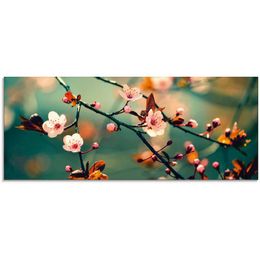 Artland Glasbild &raquo;Japanische Kirsch Sakura Blumen&laquo; Blumen 1 Stk. tlg. in verschiedenen Gr&ouml;&szlig;en blau B/H/T: 125cm x 50cm, Glasbild Blumen, 1 Stk.