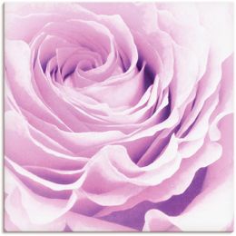 Artland Leinwandbild &raquo;Pastell Rose&laquo; Blumen 1 Stk. tlg. auf Holzrahmen gespannt pink Leinwand B/H/T: 50cm x 50cm, Leinwandbild Blumen quadratisch, 1 Stk.