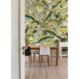Komar Fototapete &raquo;Vlies Fototapete - Banana Grove - Gr&ouml;&szlig;e 200 x 250 cm&laquo; Motiv bedruckt glatt gr&uuml;n Vlies B/L: 2m, Rollen: 1