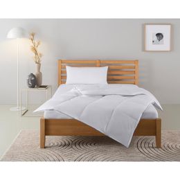 OTTO home Daunenbettdecke + Kopfkissen &raquo;Moulle, Bettdecke in 135x200 cm, 155x220 cm, 2-tlg.&laquo; Set mit Kissen 40x80 cm, 80x80 cm, Sommer, Winter, Made 