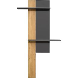 M&auml;usbacher Wandboard &raquo;Nova&laquo; grau Holzwerkstoff B/H/T: 75cm x 189cm x 17cm