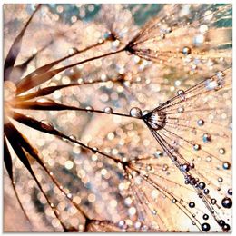 Artland Glasbild &raquo;Pusteblume - Kisses from rain&laquo; Blumen 1 Stk. tlg. in verschiedenen Gr&ouml;&szlig;en wei&szlig; B/H/T: 40cm x 40cm, Glasbild Blumen quadratisch, 1 Stk.