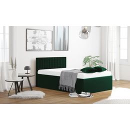 Westfalia Schlafkomfort Polsterbett mit Bettkasten bei Ausf&uuml;hrung mit Matratze gr&uuml;n Liegefl&auml;che L&auml;nge B: 200cm x 140cm, Samtvelours, H&ouml;he Liegefl&auml;che: 55,00, Bonnell-