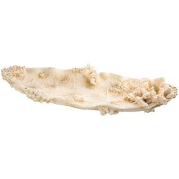 Gilde Dekoschale &raquo;Schale Amphora Seychelles wei&szlig; H. 10,5 cm&laquo; B/H/T: 32cm x 10,5cm x 23,5cm