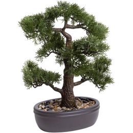 Kunstbonsai &raquo;Ceder Bonsai&laquo; gr&uuml;n Kunststoff &Oslash;/H: 35cm x 45cm, 1 Stk.