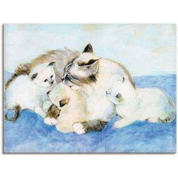 Artland Leinwandbild &raquo;Katzenfamilie&laquo; Haustiere 1 Stk. tlg. auf Holzrahmen gespannt beige Leinwand B/H/T: 80cm x 60cm, Leinwandbild Haustiere Querformat, 1 Stk