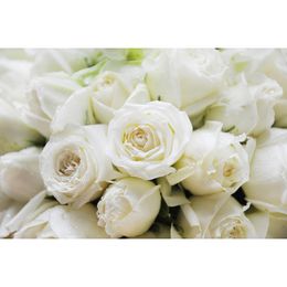 papermoon Fototapete &raquo;White Roses&laquo; glatt bunt Vlies B/L: 2,5m x 1,86m, Bahnen: 5 Stk.
