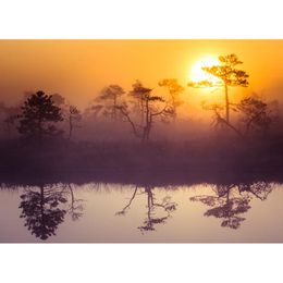 papermoon Fototapete &raquo;Misty Morning Scenery&laquo; glatt bunt Vlies B/L: 2,5m x 1,86m, Bahnen: 5 Stk.