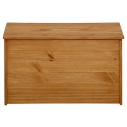 OTTO home Truhe &raquo;Alpi&laquo; Kiefernholz, Deckel, verschiedene Farbvarianten, H&ouml;he 40 cm beige Massivholz B/H/T: 70cm x 40cm x 40cm