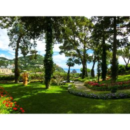 papermoon Fototapete &raquo;Capri Island Garden&laquo; bunt Vlies B/L: 4,5m x 2,8m, Bahnen: 9 Stk.
