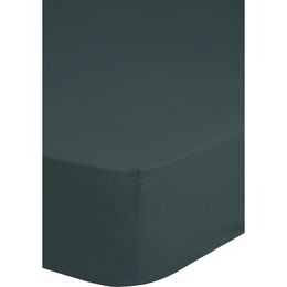 Good Morning Spannbettlaken &raquo;Jersey Spannbettlaken&laquo; 100% Baumwolle, Jersey, Rundumgummi, bis 25 cm h&ouml;he, 90/100x200, Wei&szlig; gr&uuml;n Jersey, Obermaterial: 