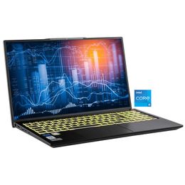 Captiva Business-Notebook &raquo;Business/Office I10-1420GE&laquo; 43,94 cm / 17,3 &prime;&prime; Intel Core i5 Iris Xe Graphics 500 GB SSD schwarz Windows 11 Home 64-bit, 