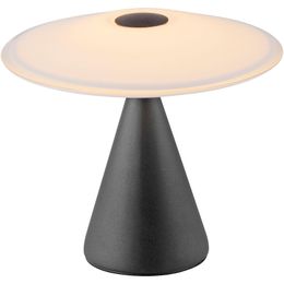 Paul Neuhaus LED Tischleuchte &raquo;ELIPSA&laquo; LED-Board 1 Stk. Warmwei&szlig; Touchdimmer, Memoryfunktion, Opalglas schwarz 1, &Oslash; 20cm H: 18cm, 1 Stk.