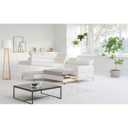 COTTA Ecksofa &raquo;Sammy L-Form&laquo; mit Kopfteilverstellung, wahlweise mit Schlaffunktion & Bettkasten wei&szlig; Microfaser Primabelle (100% Polyester);Die 